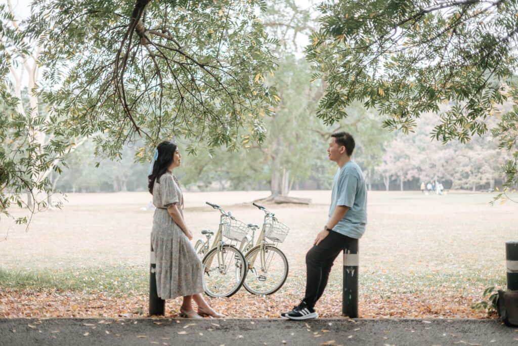 Demo Aesthetic 04 - Memonika