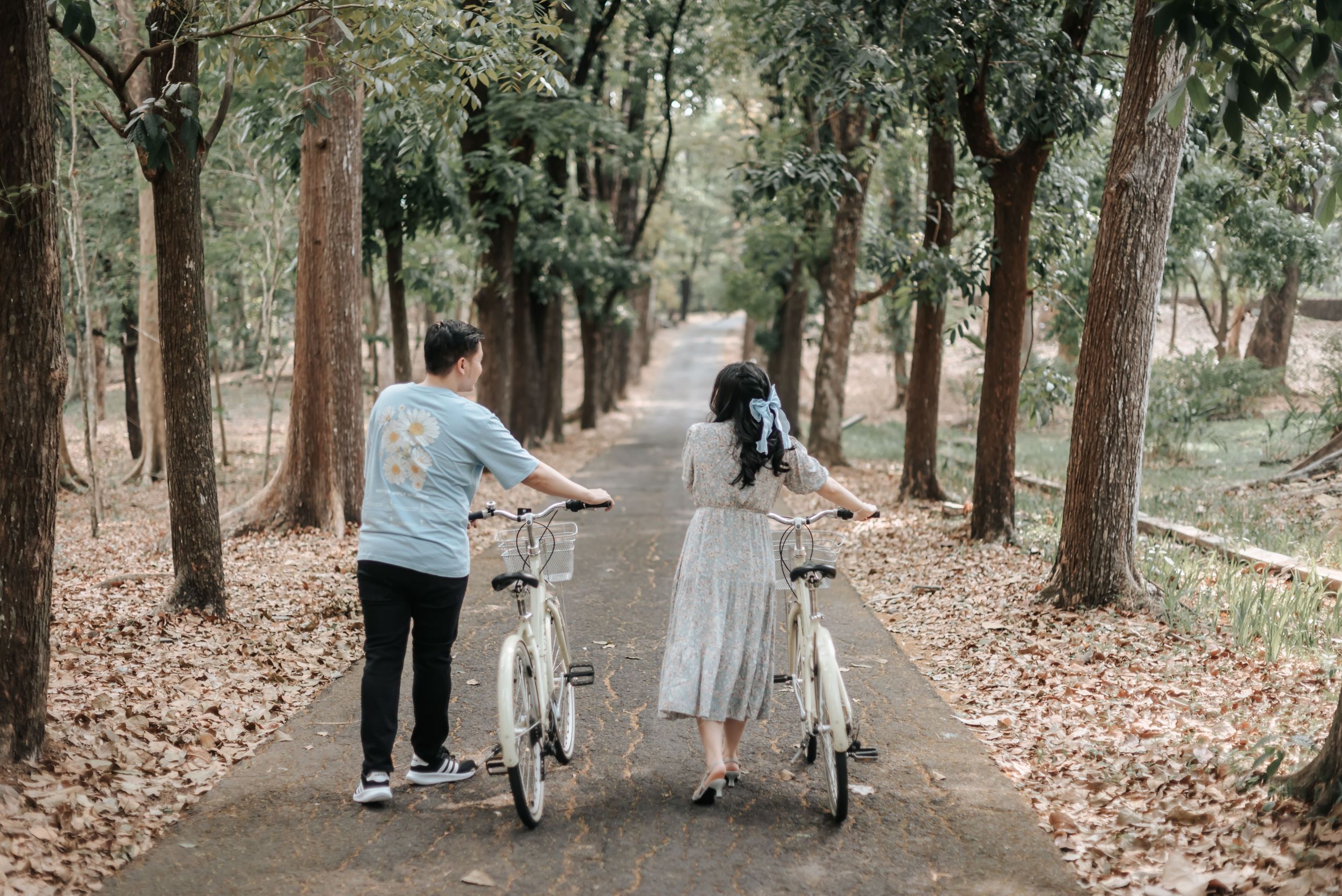 Demo Aesthetic 04 - Memonika